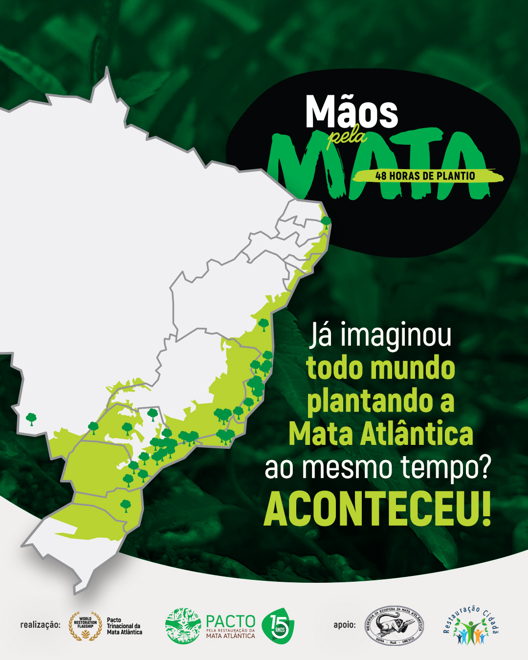 "Mãos pela Mata": mutirão nacional pela restauração da Mata Atlântica ...