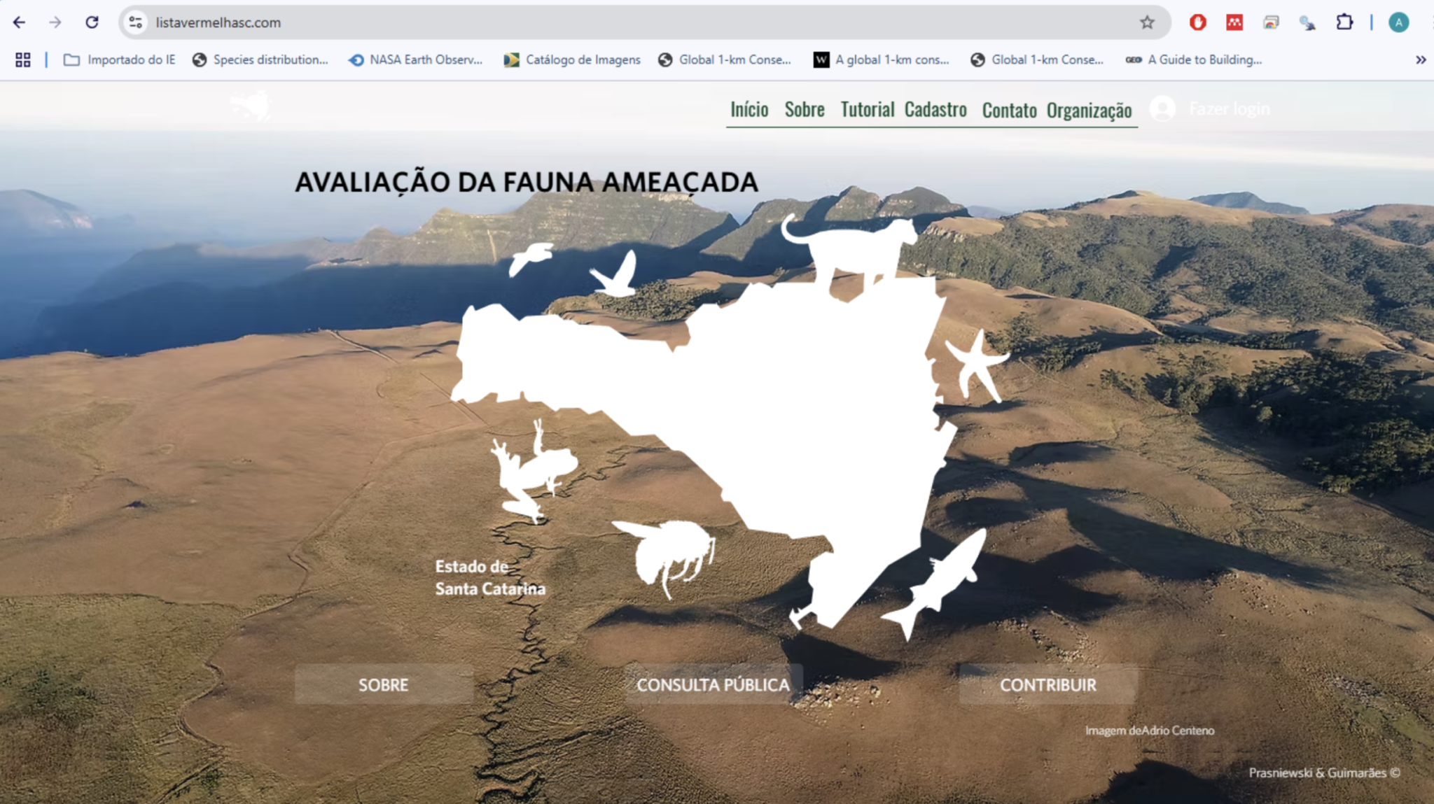 Mater Natura e IMA concluem atualização da Lista das Espécies de Fauna ...
