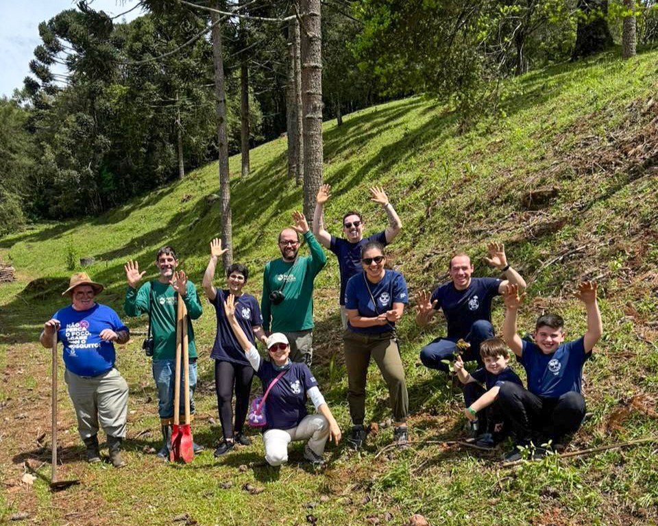 Plantio de árvores nativas marca parceria entre Mater Natura e DC ...